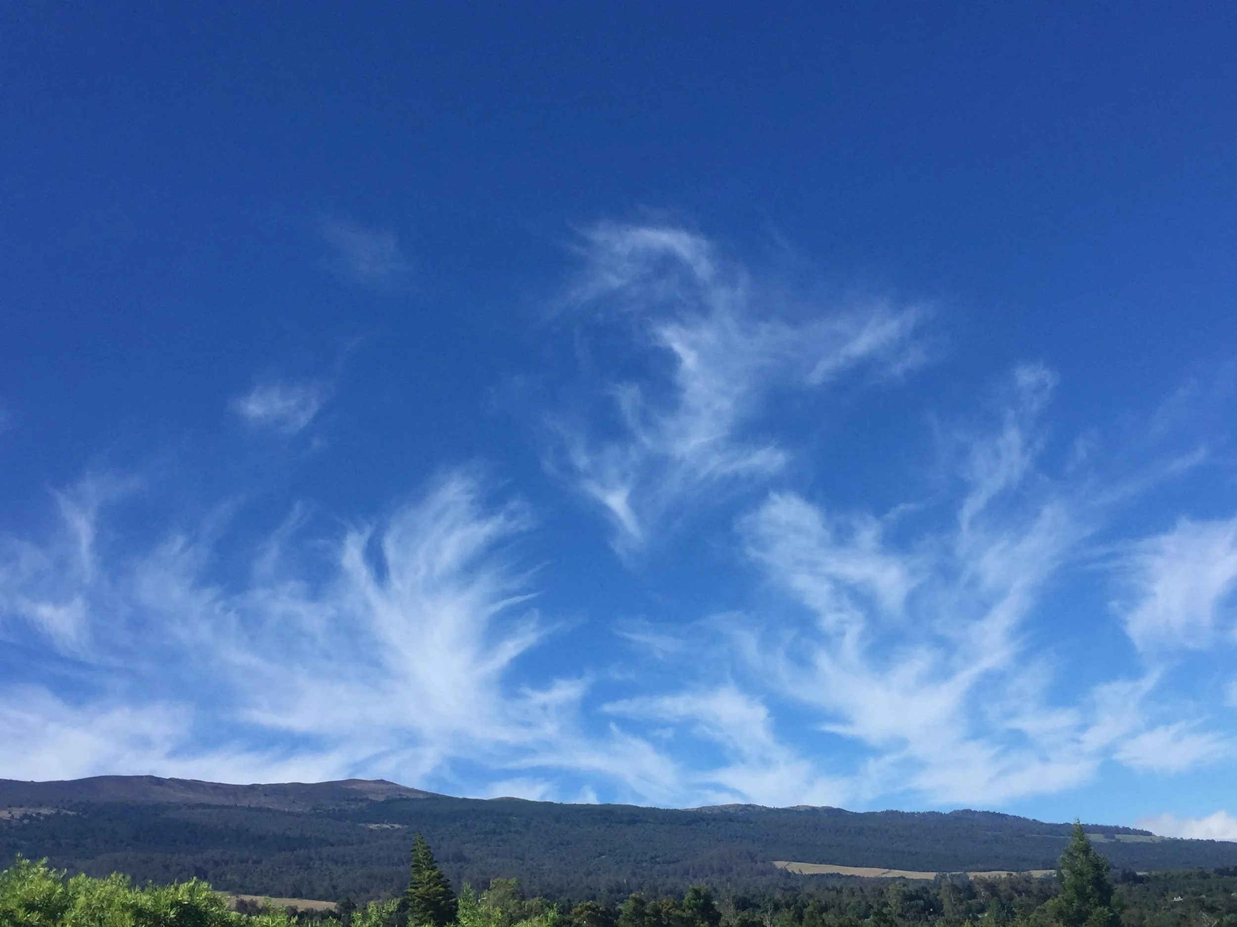 About the Alliance — KULA COMMUNITY WATERSHED ALLIANCE