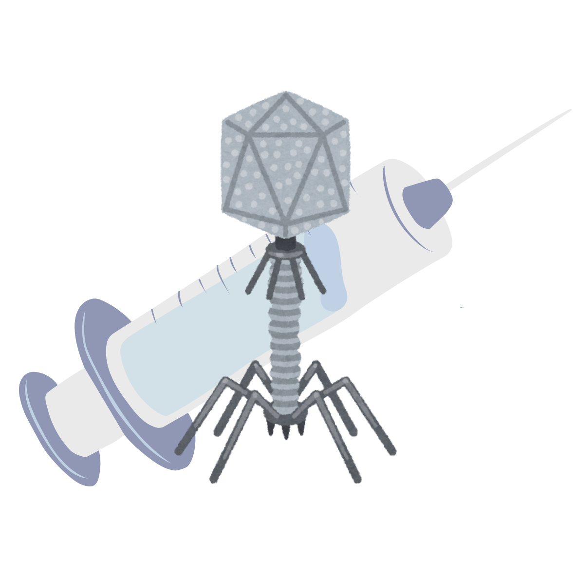 ThePhageCollectionProject