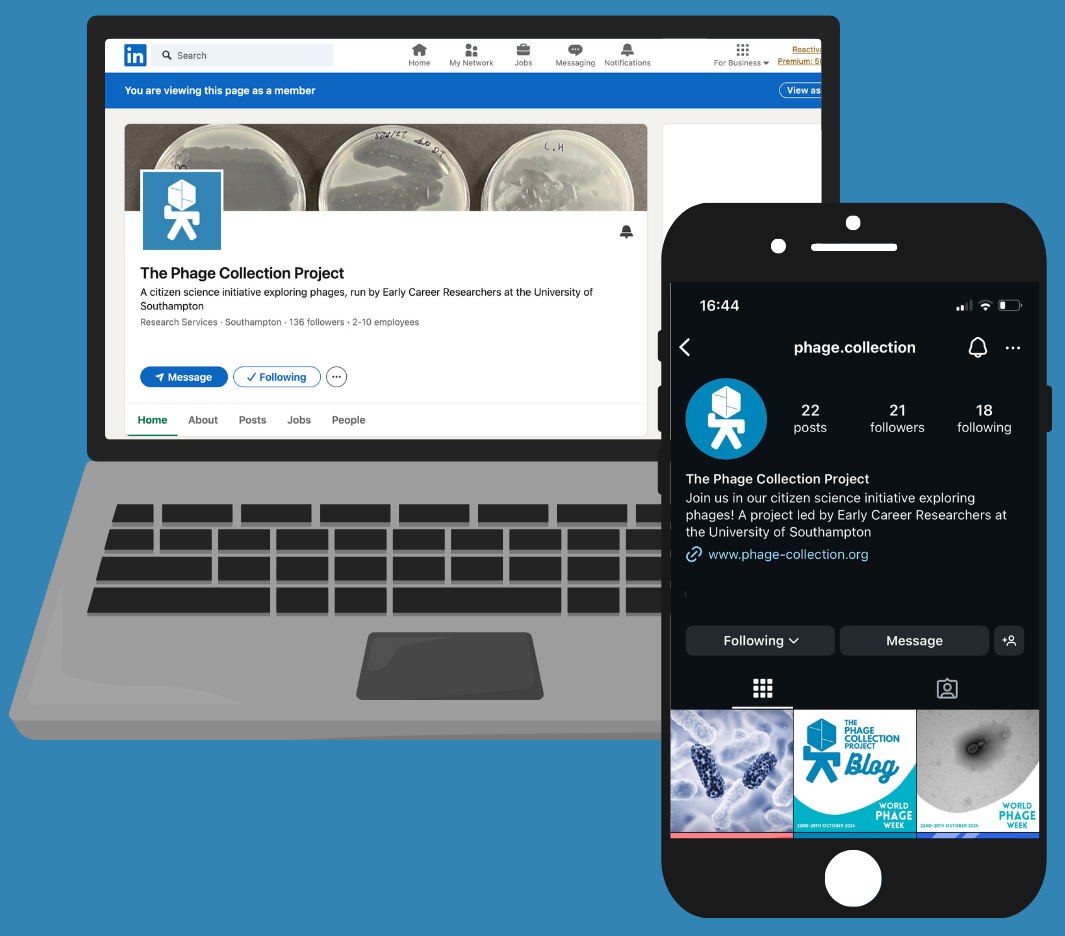 ThePhageCollectionProject