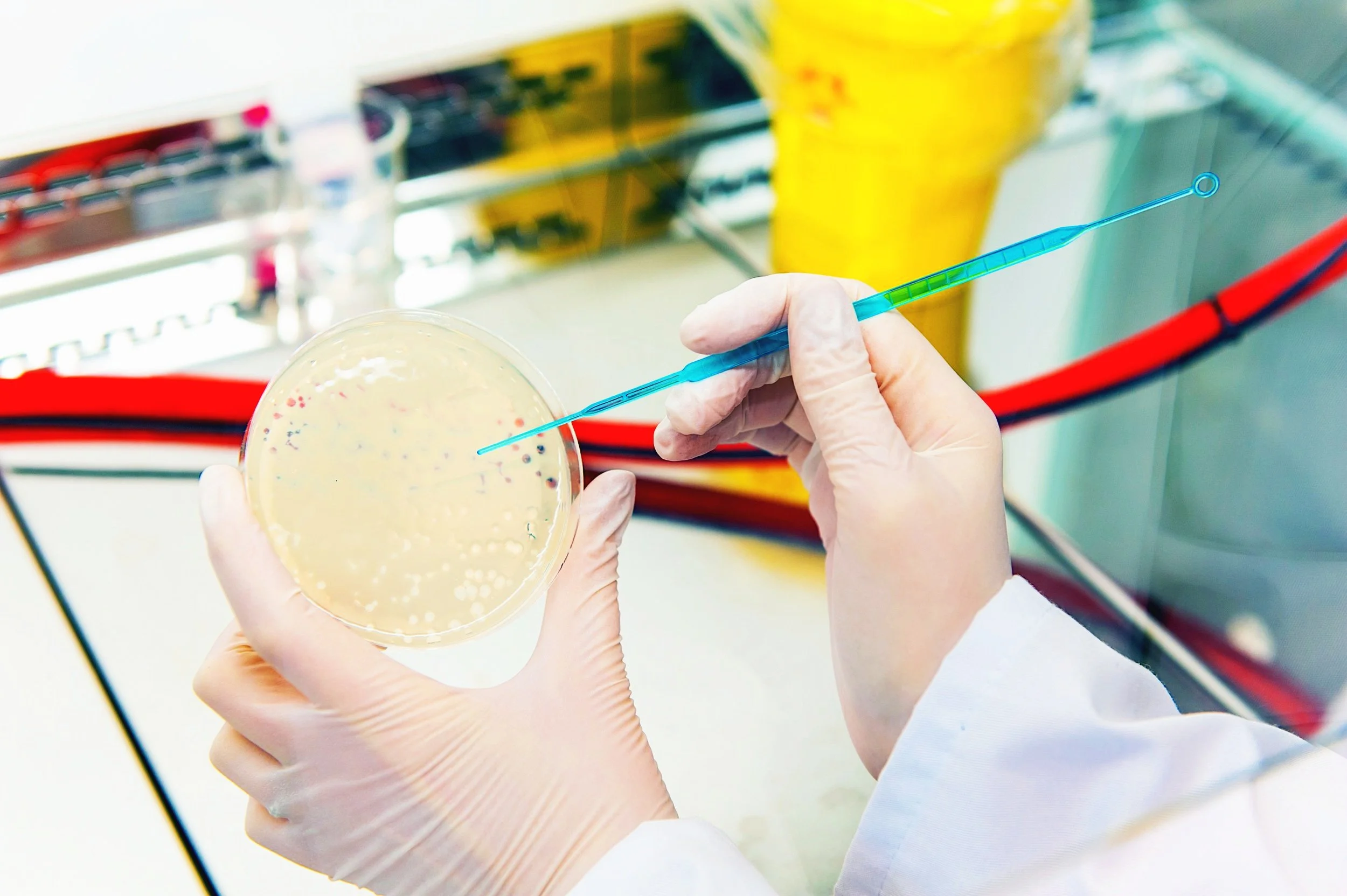 ThePhageCollectionProject