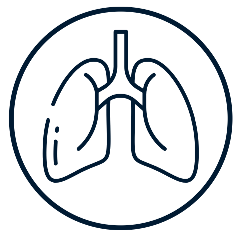 What is AMR? | Discover Solutions to AMR - Act Now ...