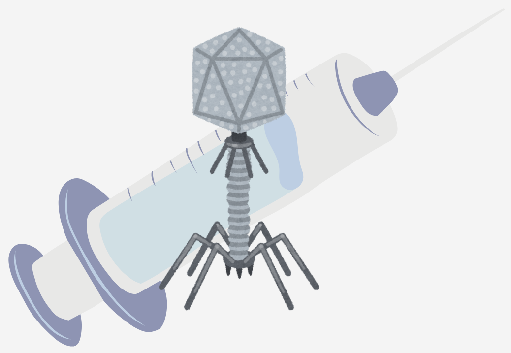 What is phage therapy? — ThePhageCollectionProject