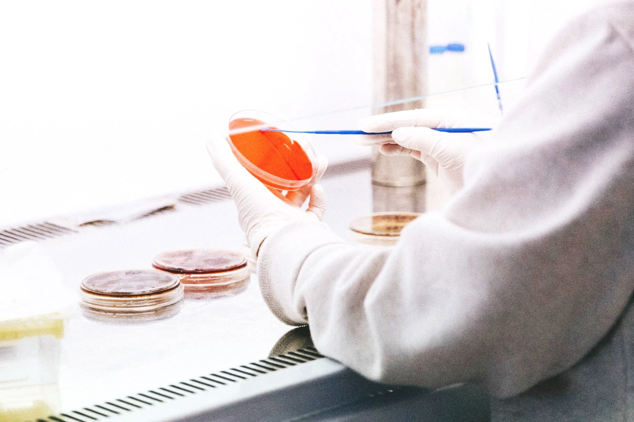 ThePhageCollectionProject