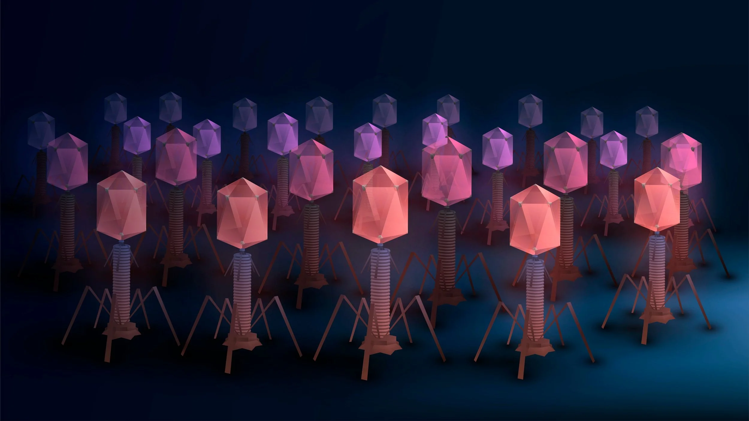 ThePhageCollectionProject