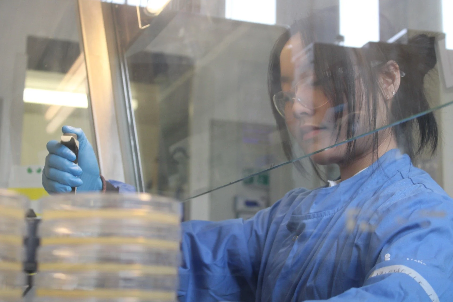 ThePhageCollectionProject