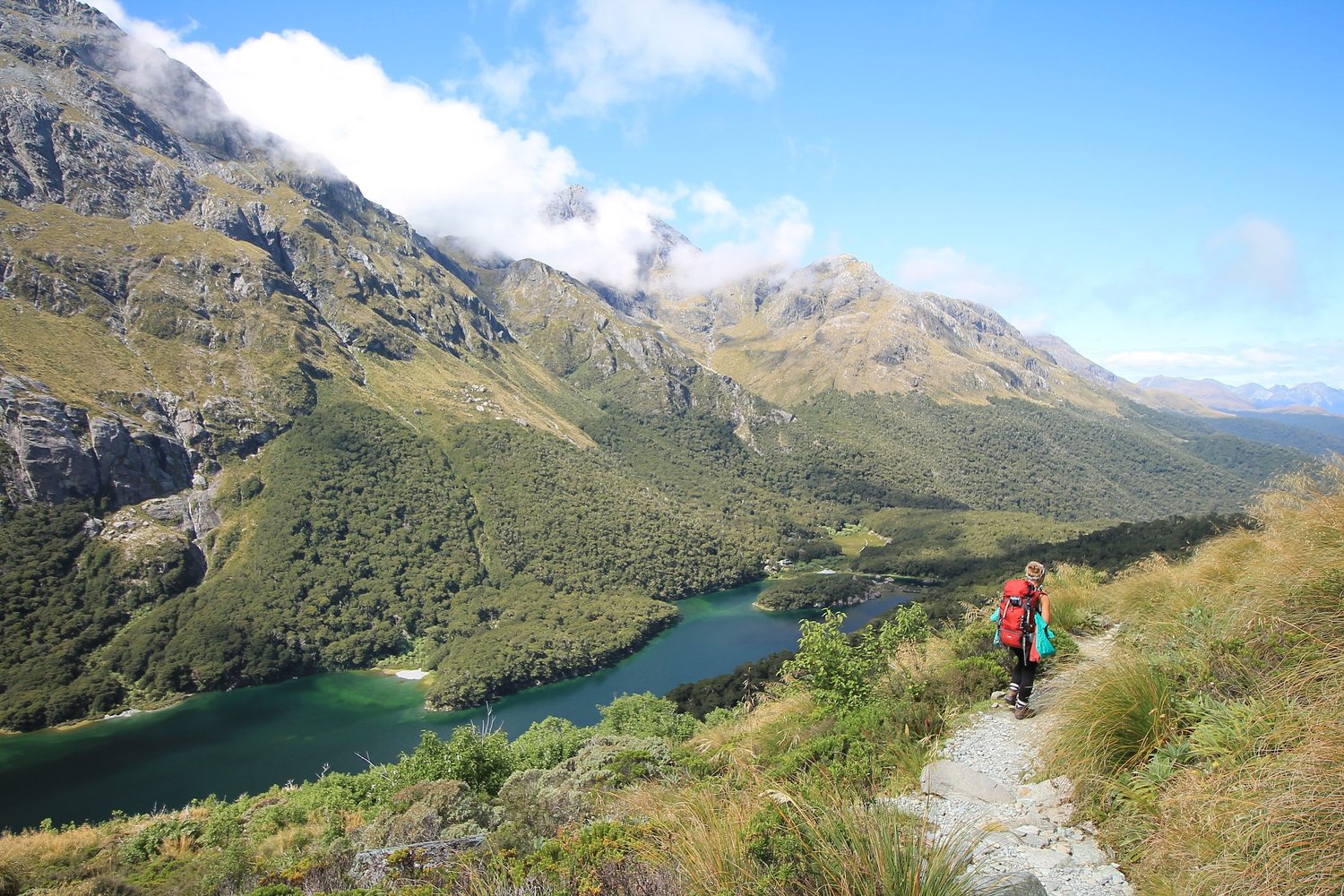 Explore New Zealand: 7 Breathtaking Hiking Trails