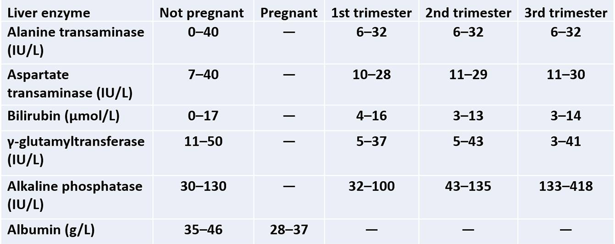 Diagnosis — ICP Support