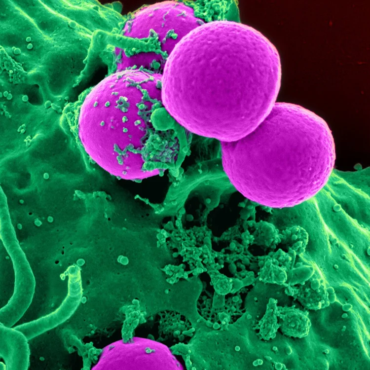 All-Ages Lessons — Theatre of Science