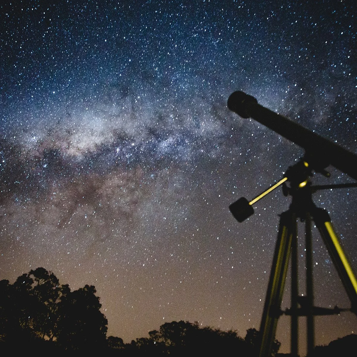 All-Ages Lessons — Theatre of Science