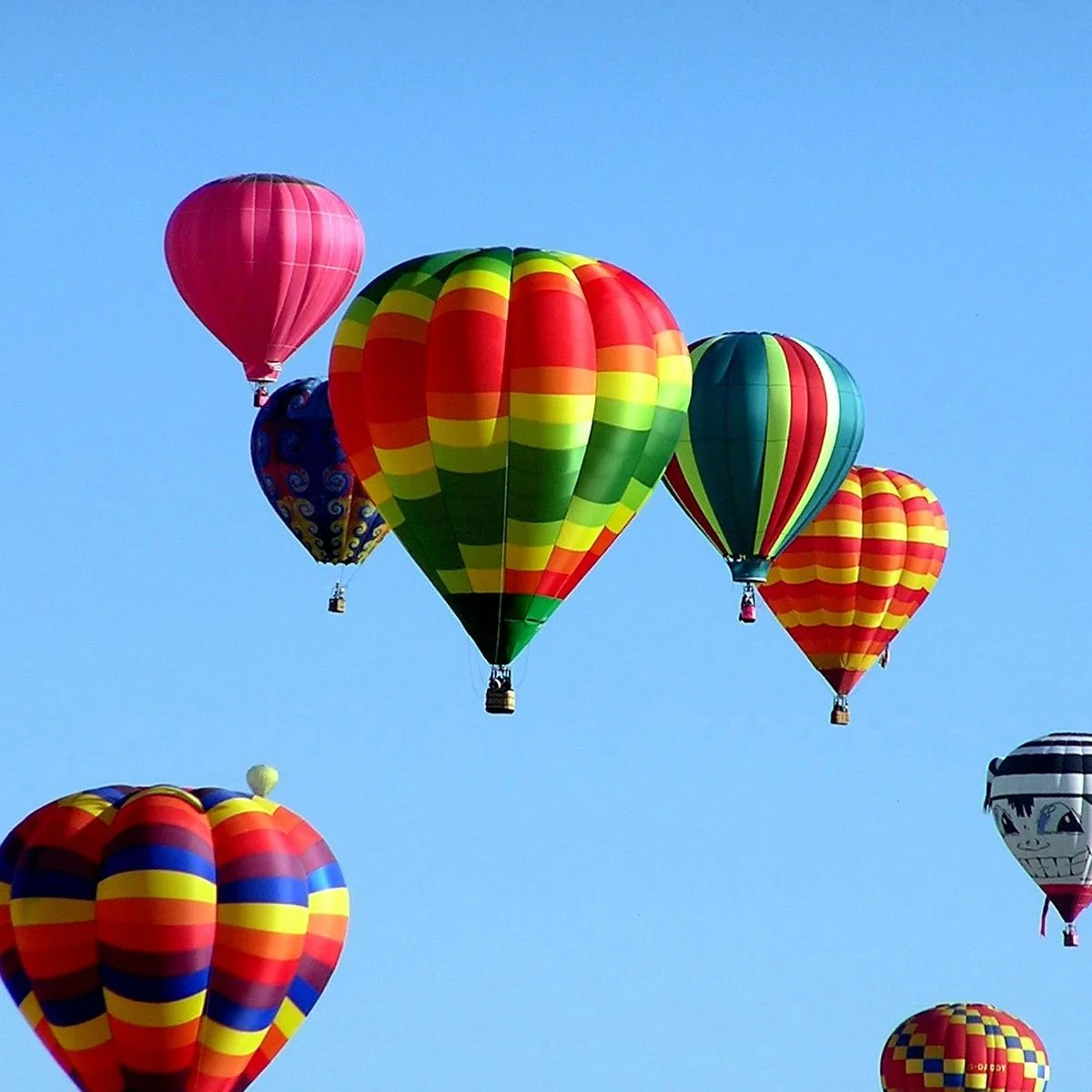 IGCSE Modules — Theatre of Science