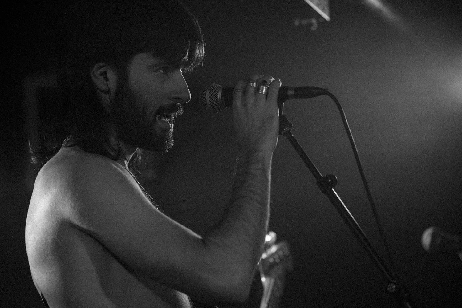 Lisa Lewis Photography