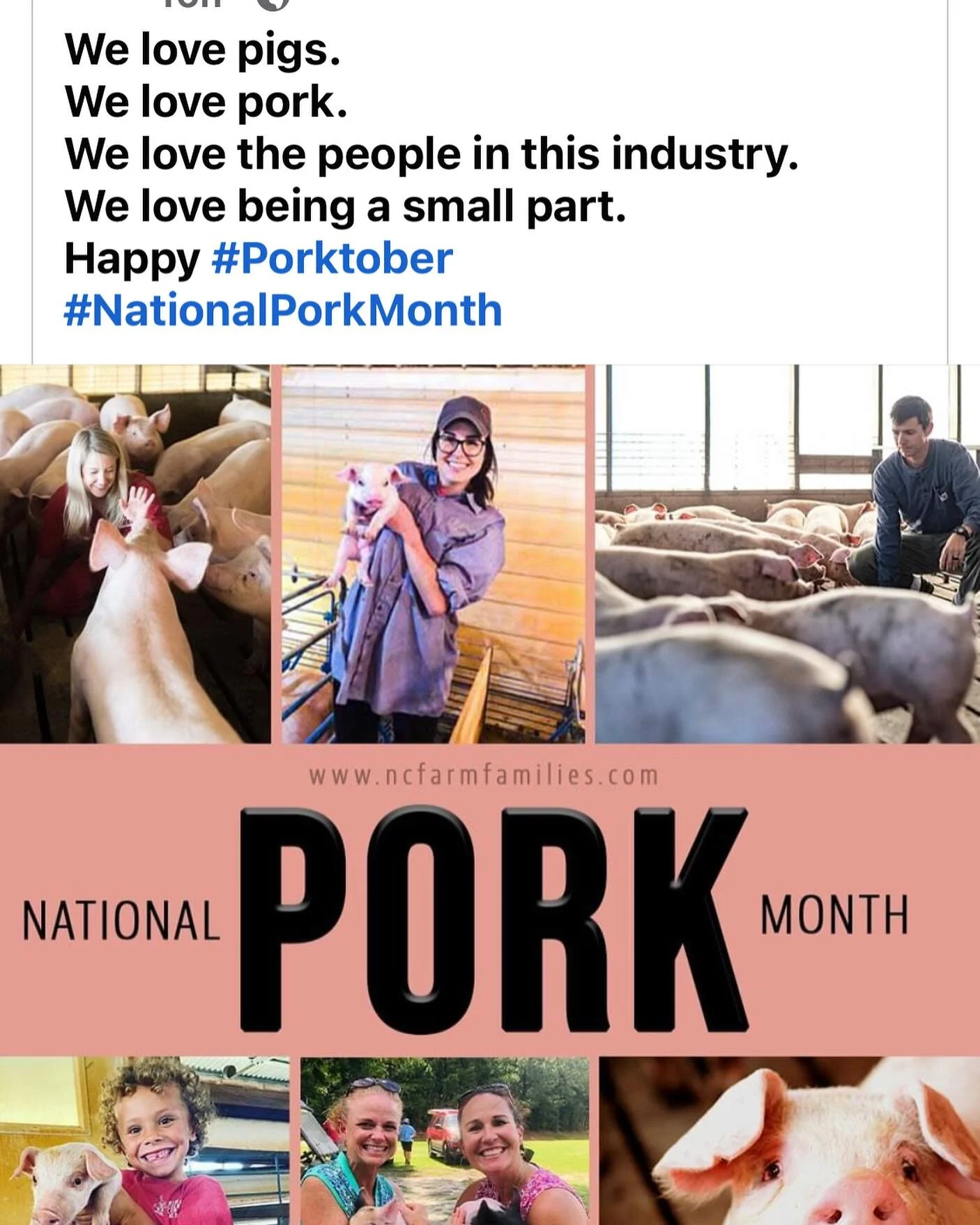 Misty Ridge Farm | High Quality Beef | Pasture Raised Pork & Poultry ...