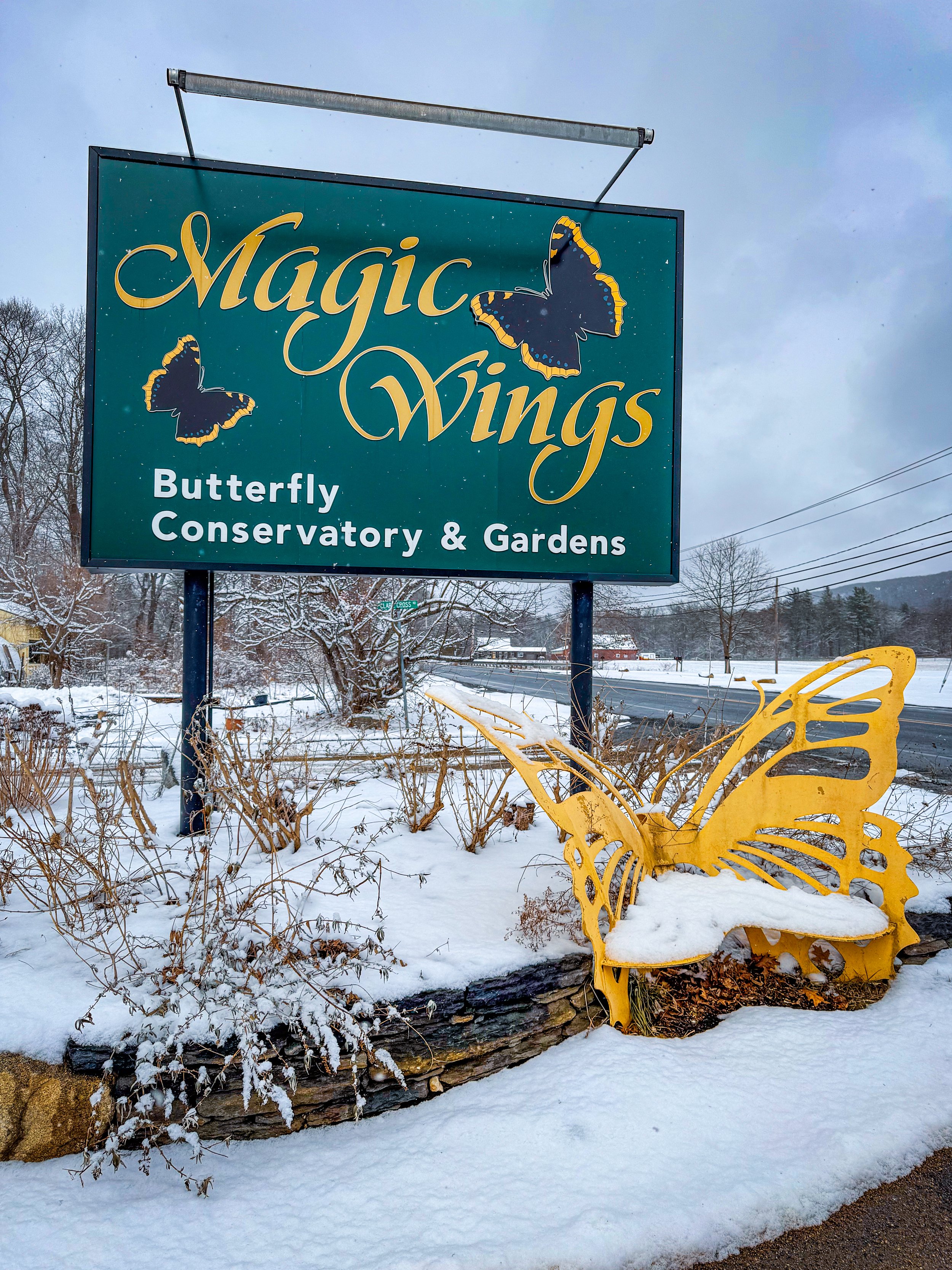 A Visit to Magic Wings Butterfly Conservatory - South Deerfield, MA ...