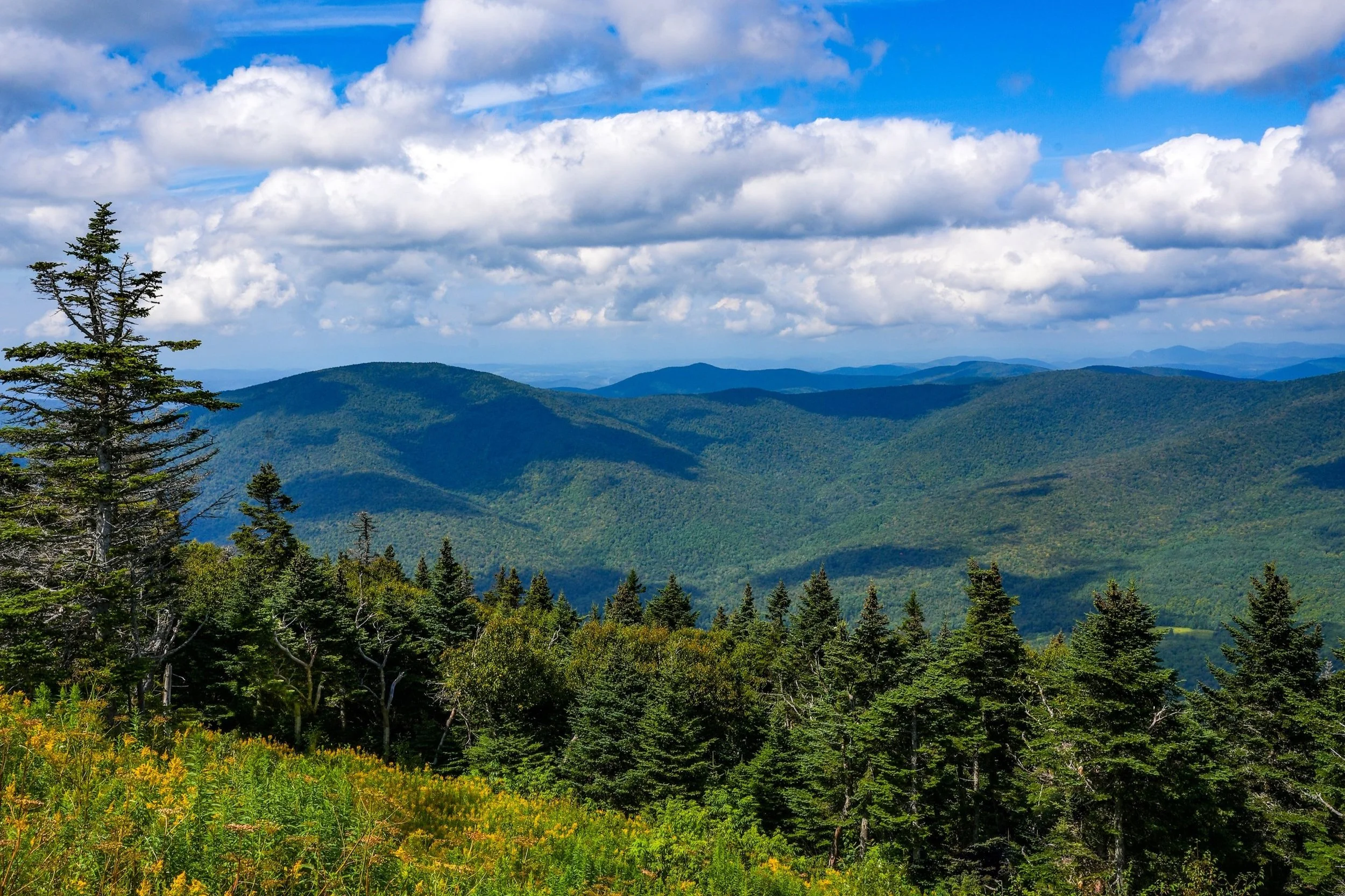 Manchester, Vermont Travel Guide — New England Chickadee