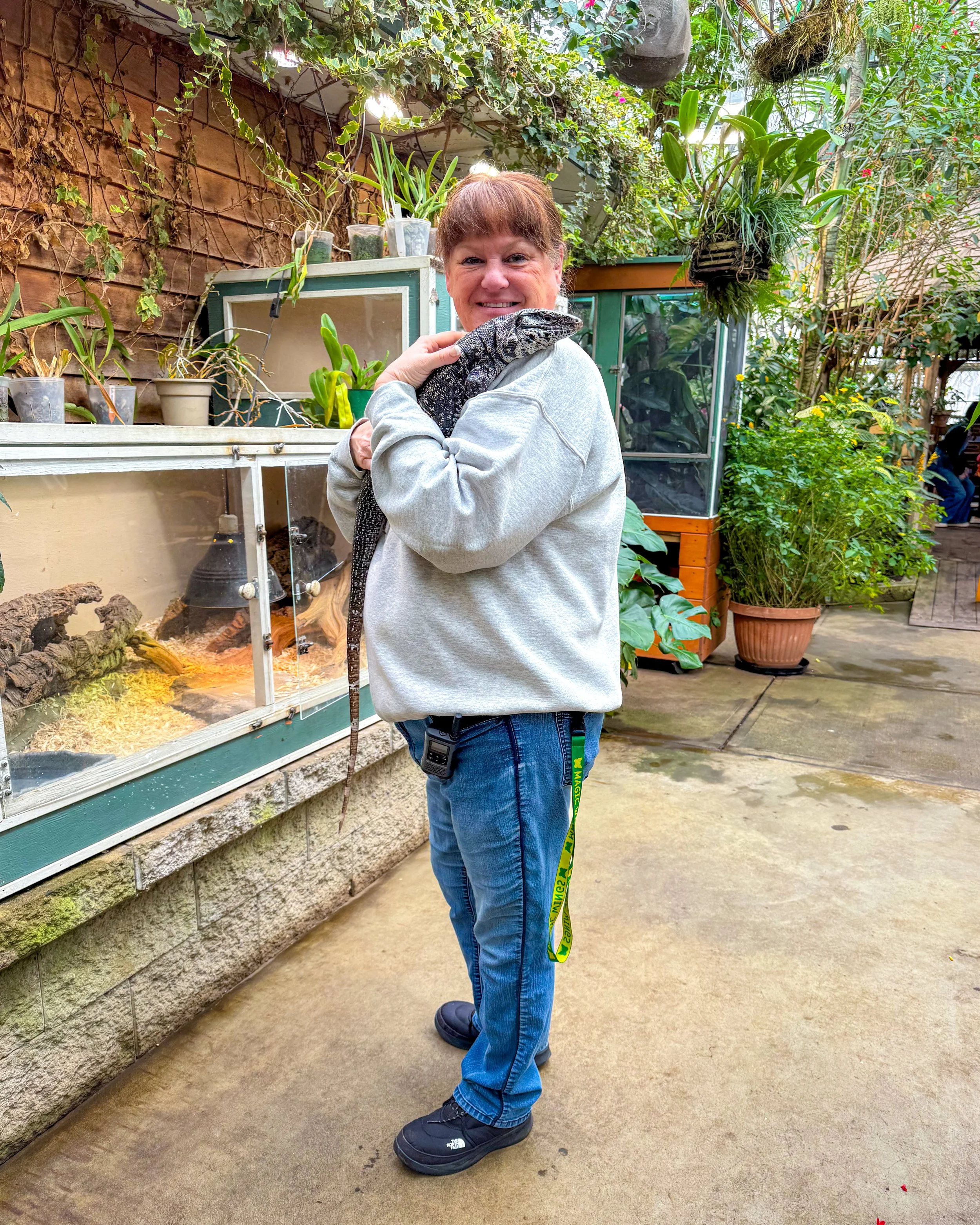 A Visit to Magic Wings Butterfly Conservatory - South Deerfield, MA ...