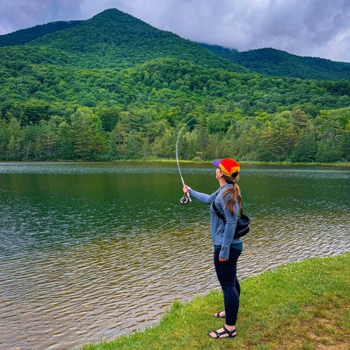 Manchester, Vermont Travel Guide — New England Chickadee