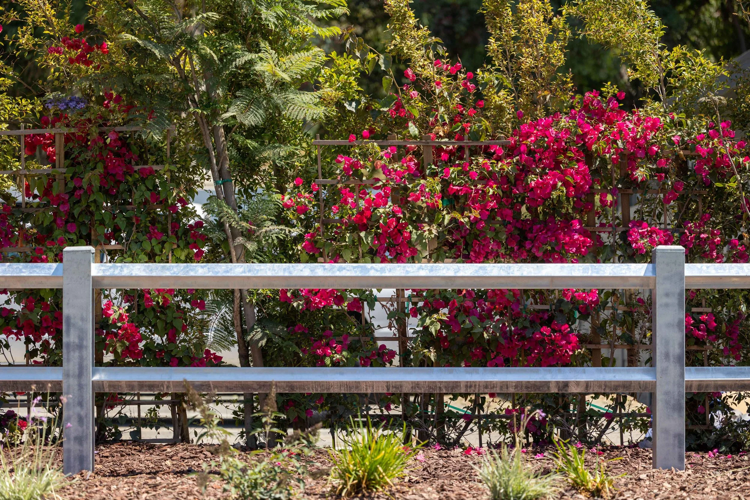 Gallery 3 — MWF Solutions Fire Proof Metal Privacy Fence For Southern ...