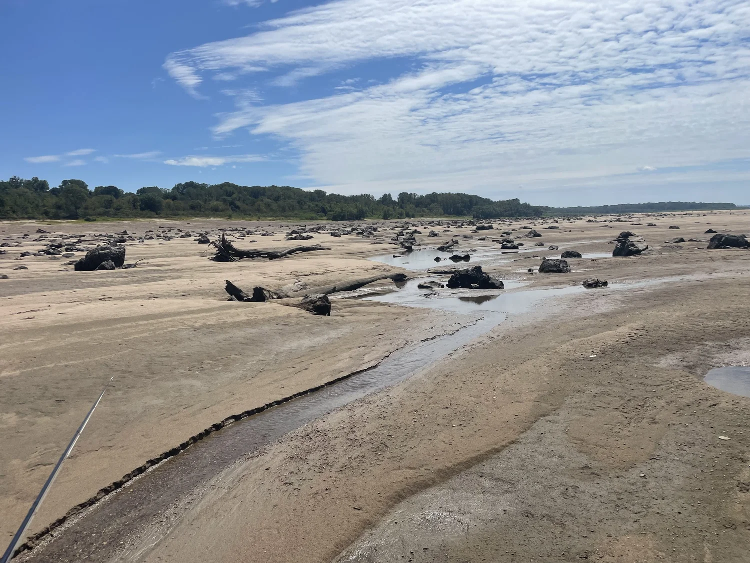 Big Mama and the Hatchie “coal field” — Hatchie River Conservancy