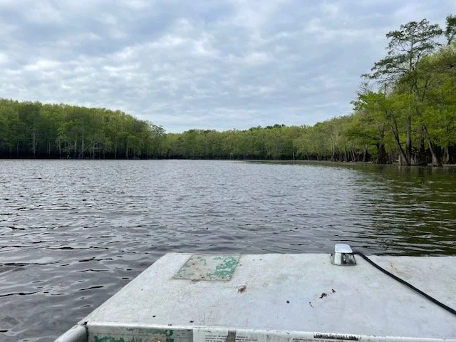 When Little Things Become Big Dreams — Hatchie River Conservancy