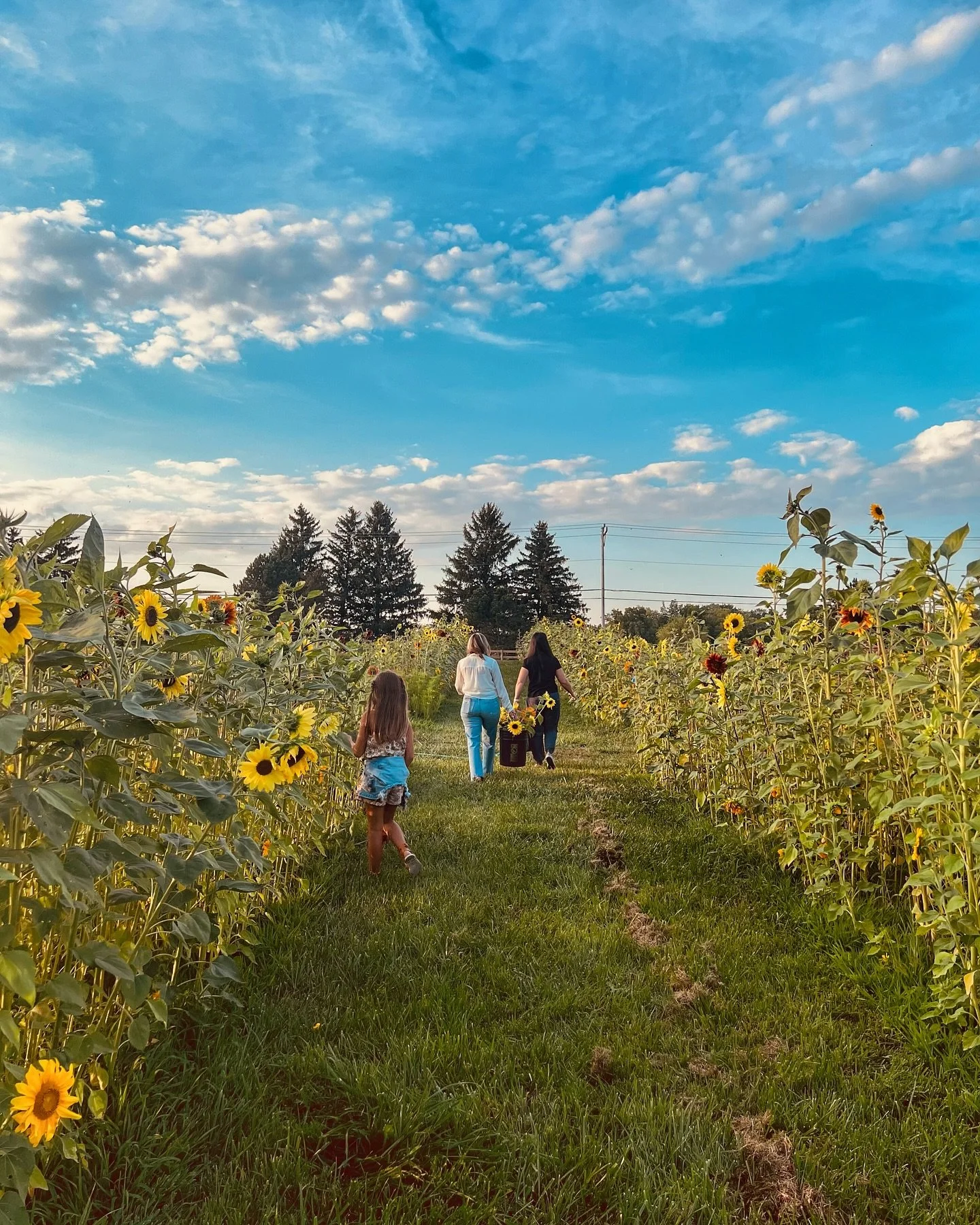 10 Reasons To Stay At Standing Rock Farms — Tour Lake County