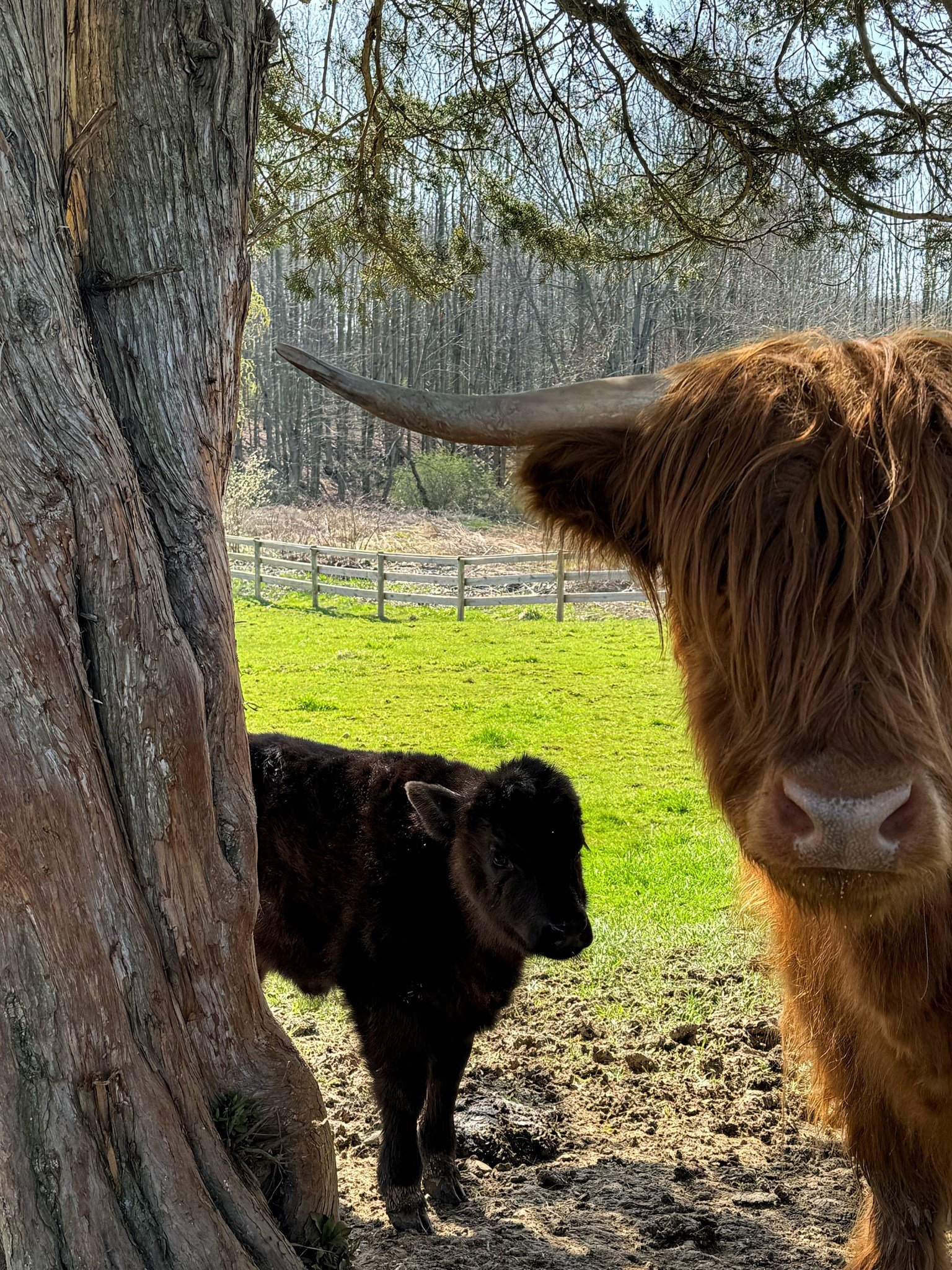 10 Reasons To Stay At Standing Rock Farms — Tour Lake County