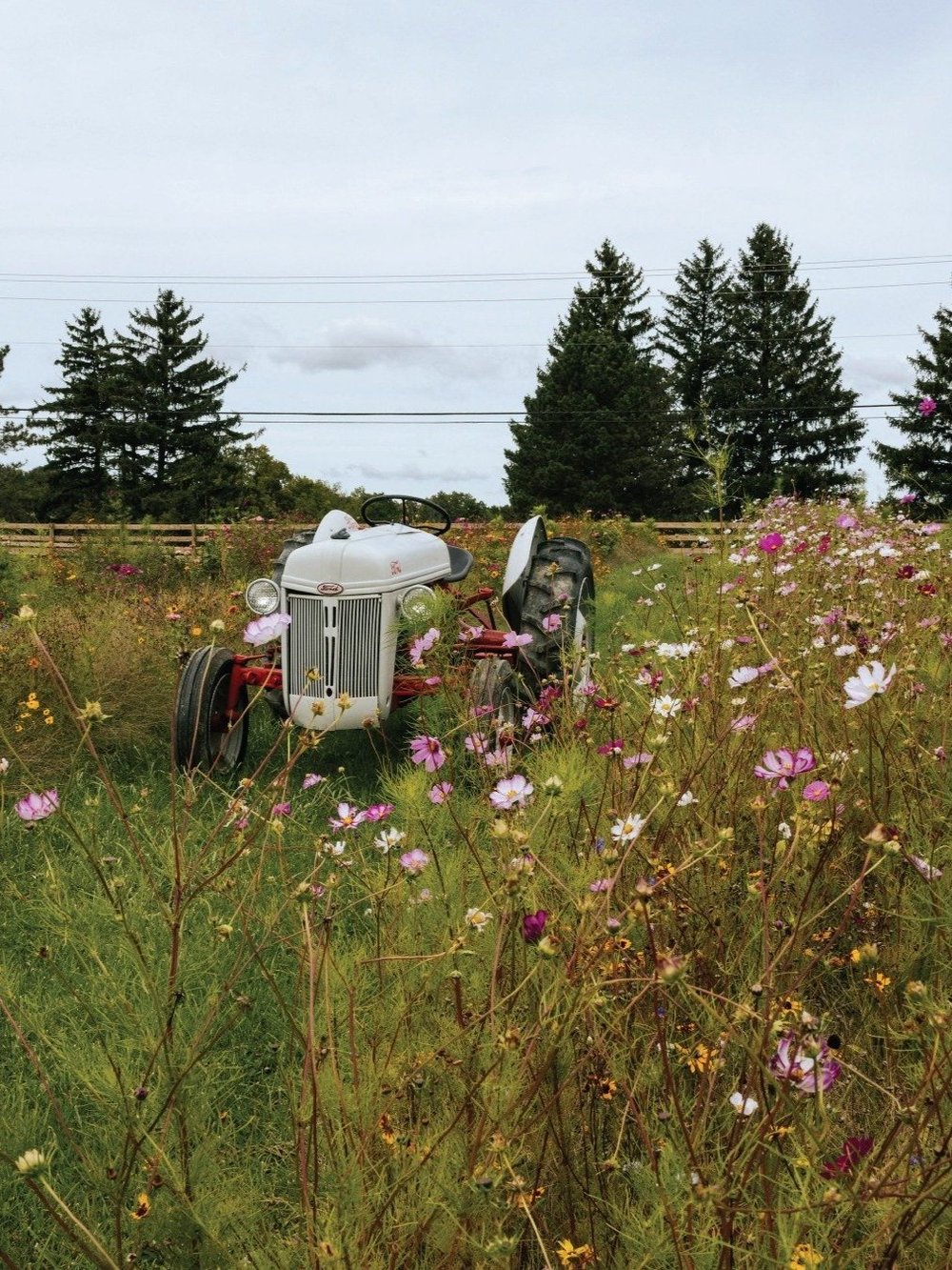 10 Reasons To Stay At Standing Rock Farms — Tour Lake County