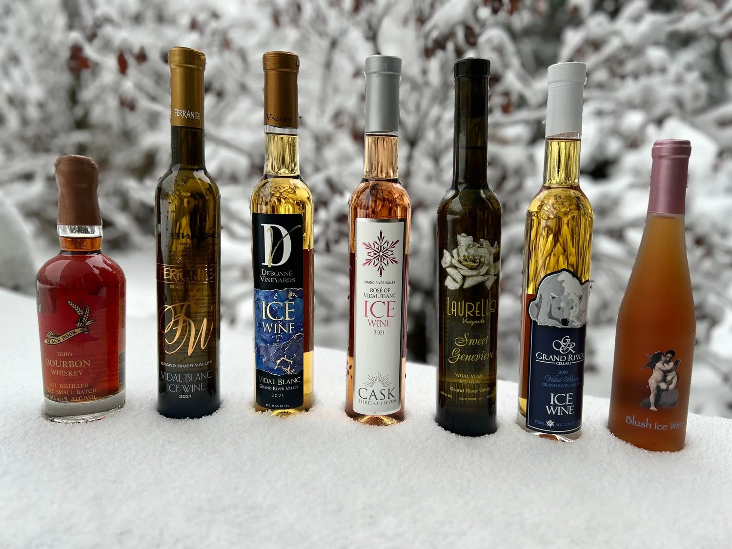 23rd Annual Grand River Valley Ice Wine Festival — Tour Lake County