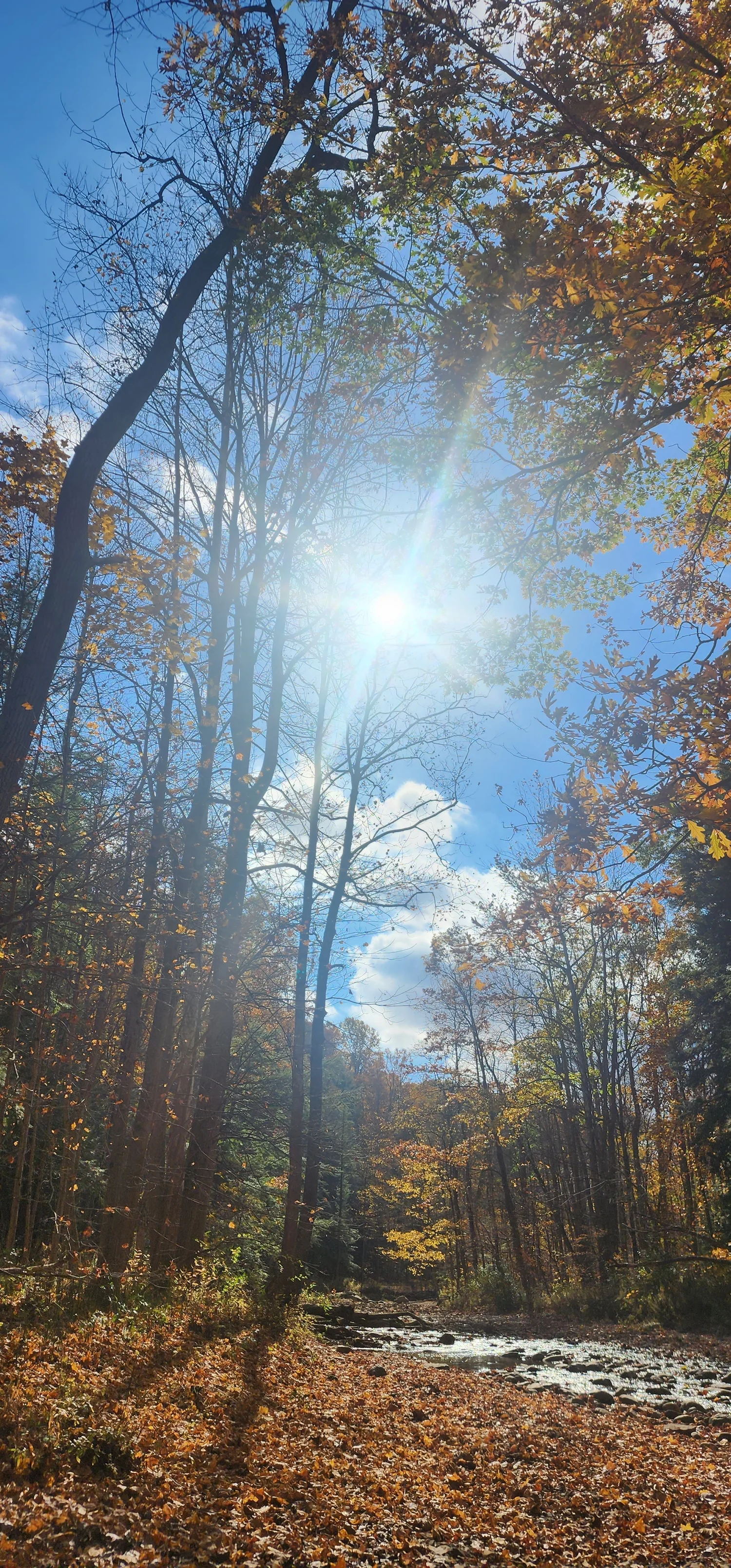 Fall Bucket List for Lake County OH — Tour Lake County