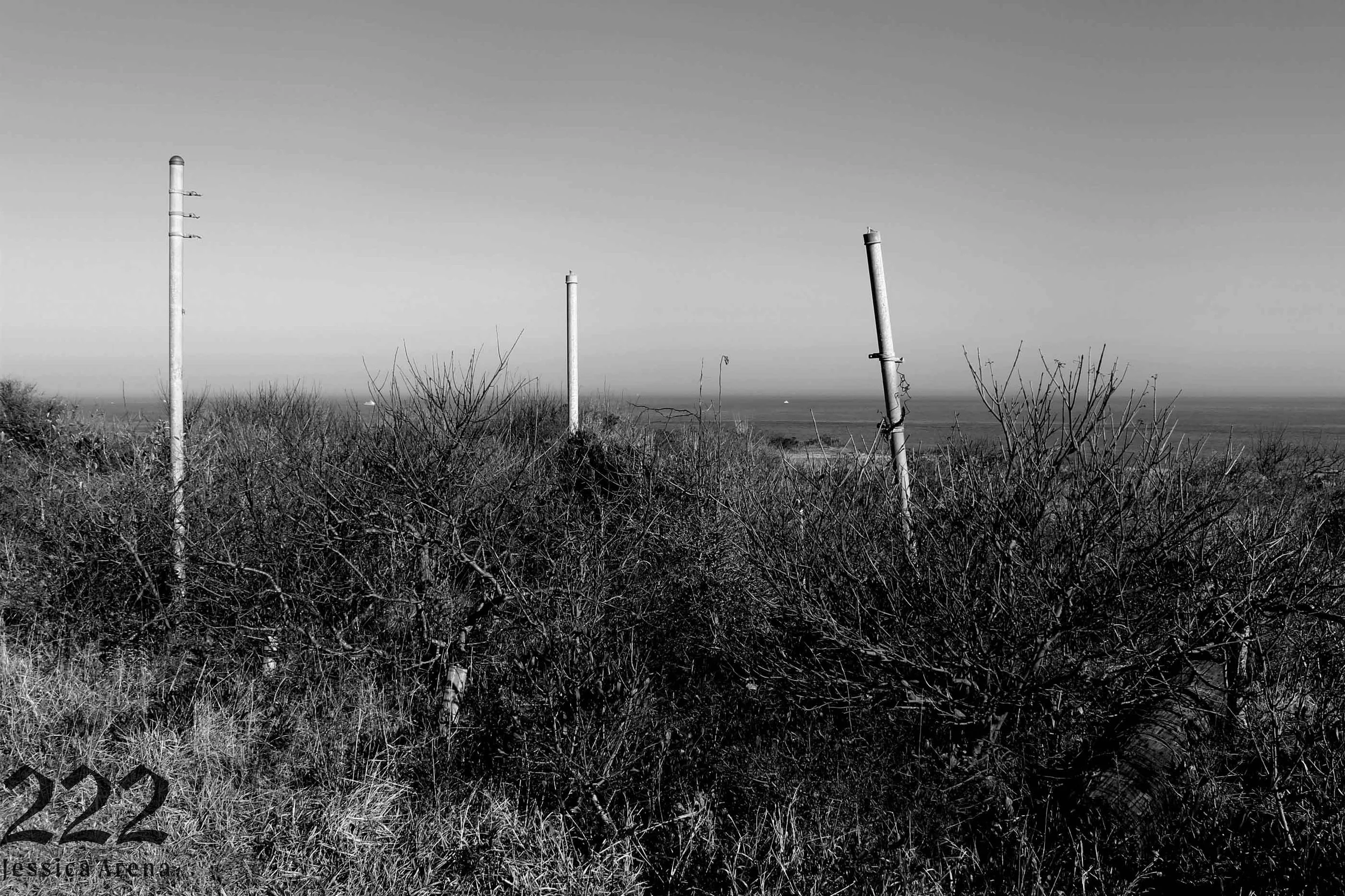 Camp Hero | Montauk Military Base History & Abandoned Photography ...