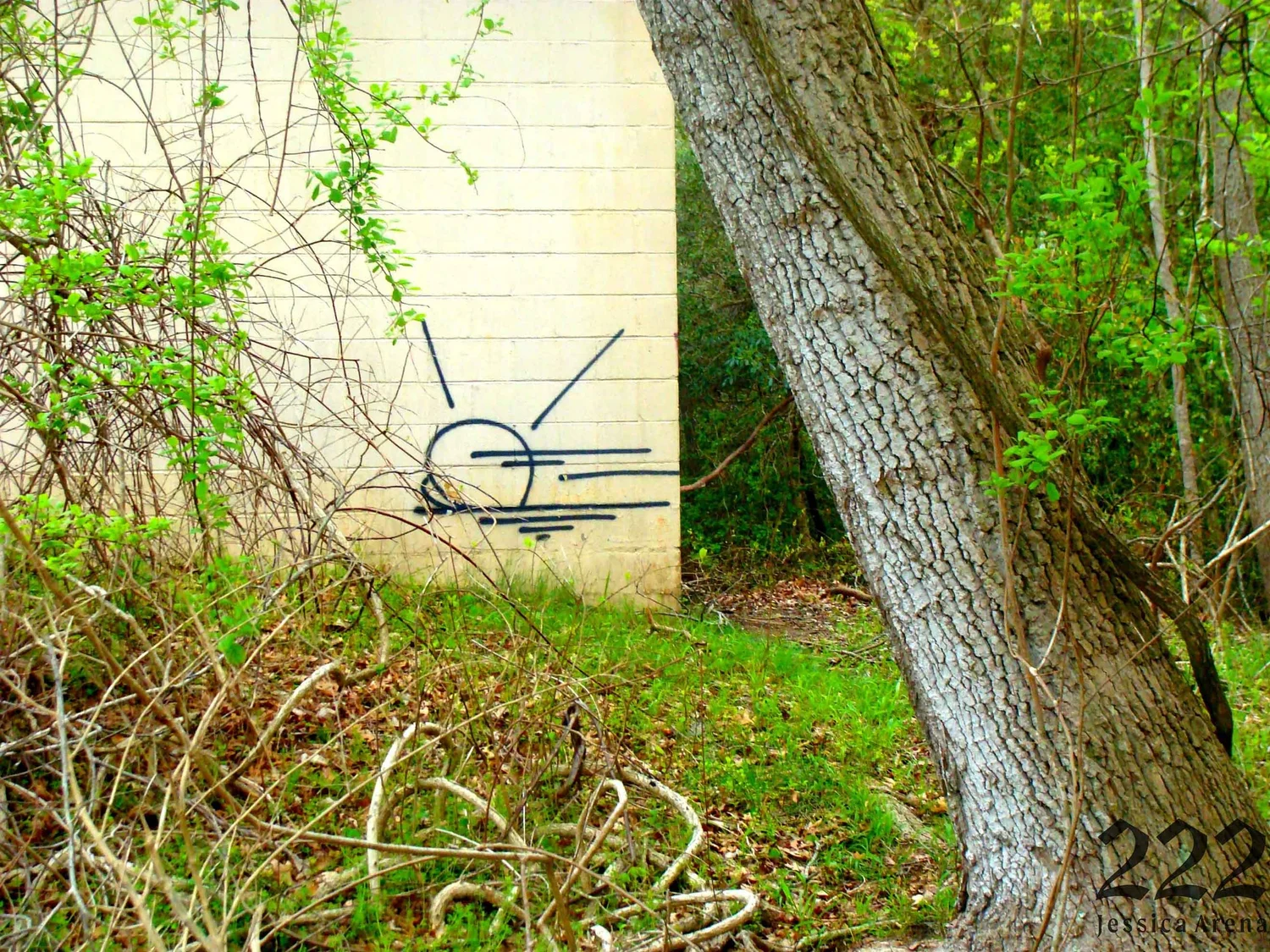 Camp Hero | Montauk Military Base History & Abandoned Photography ...