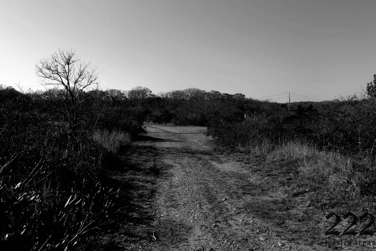Camp Hero | Montauk Military Base History & Abandoned Photography ...