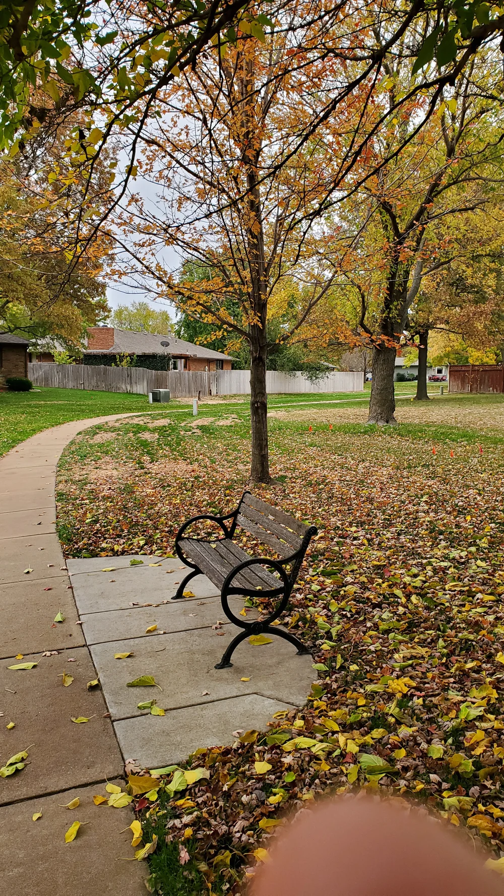 About Amarado — Amarado Estates