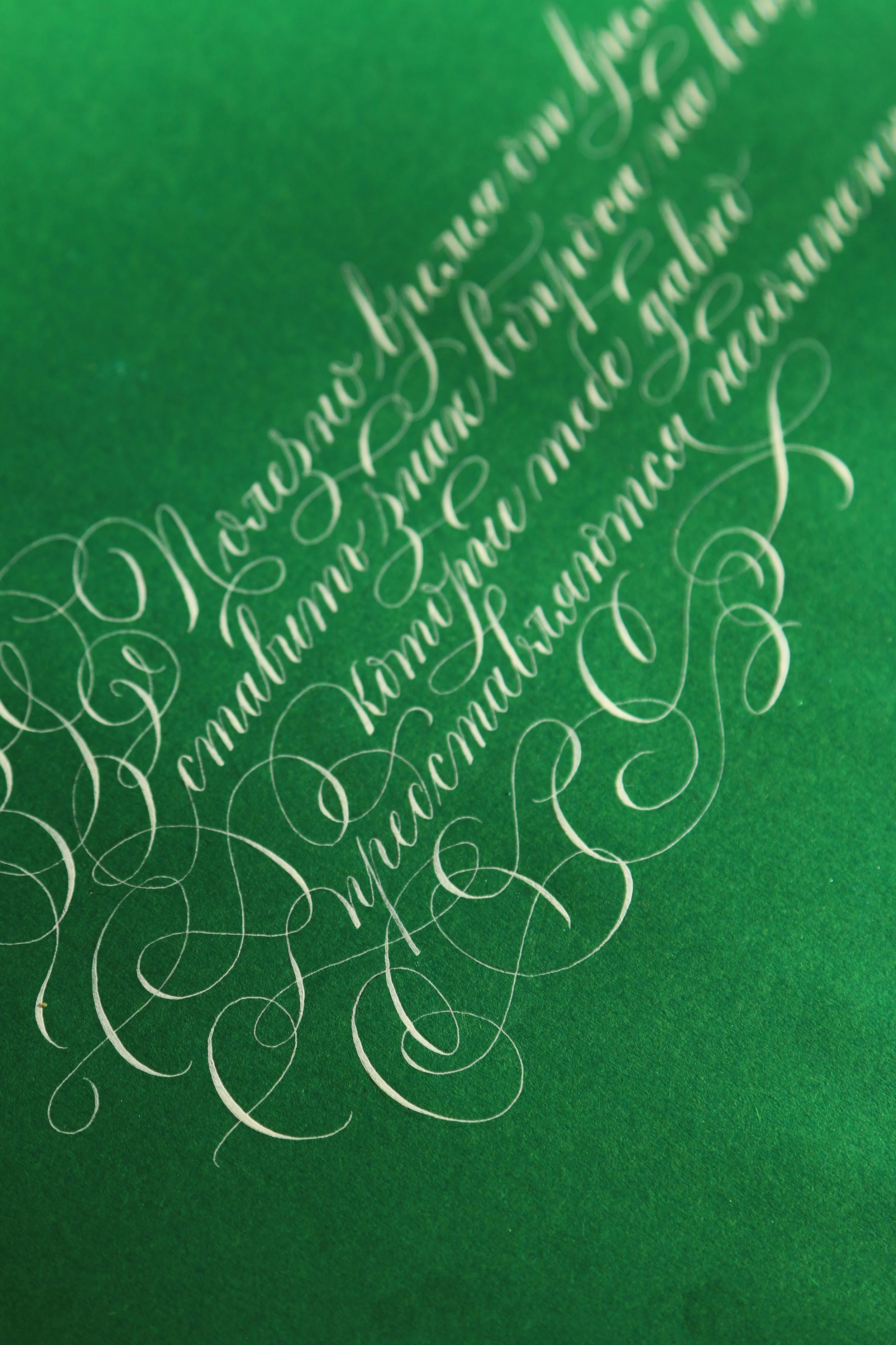 Services — Irina Zhivotovskaia