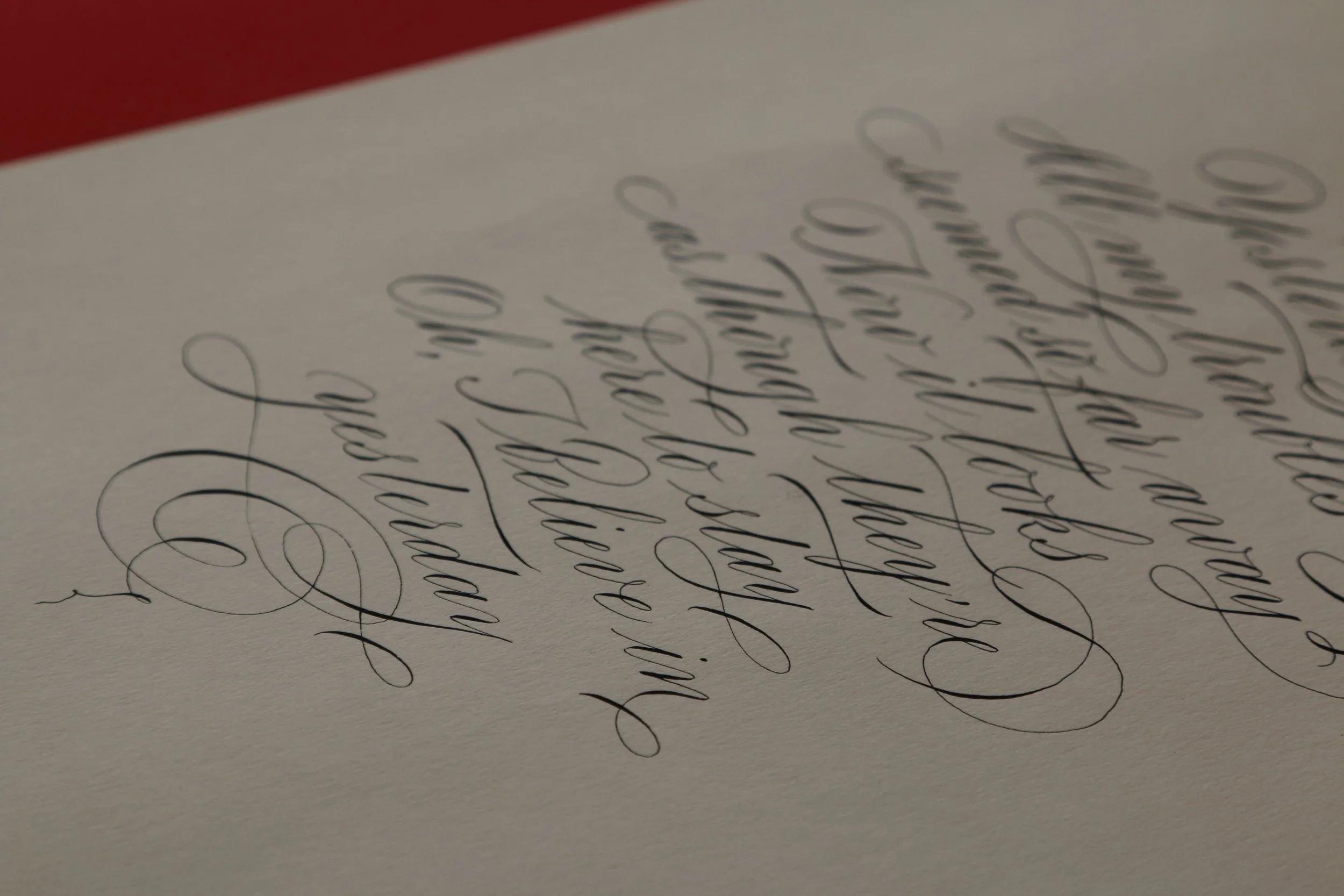 Services — Irina Zhivotovskaia