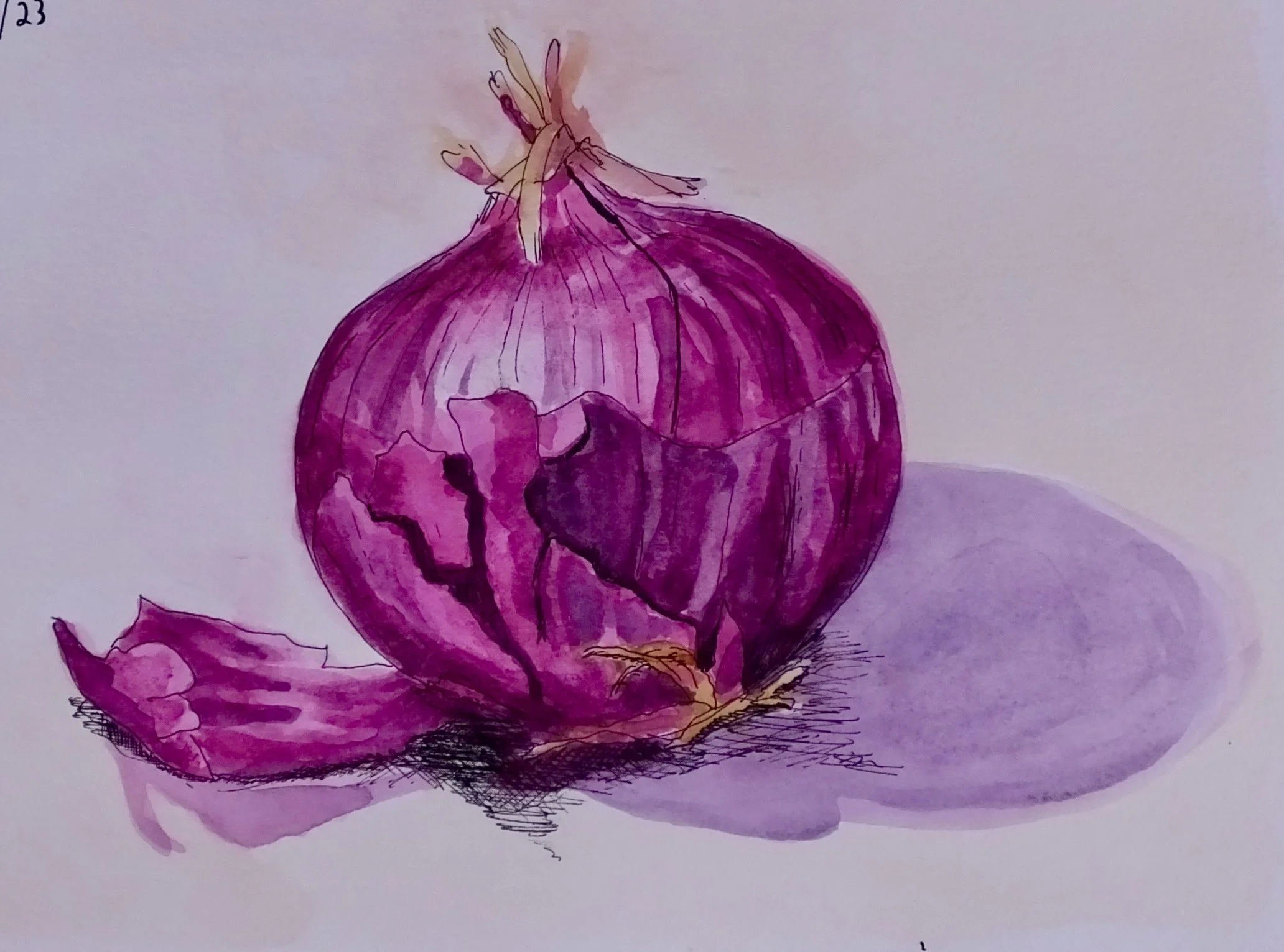 Dreaming of a Transcendent Red Onion in the Desert — Steven Frechette
