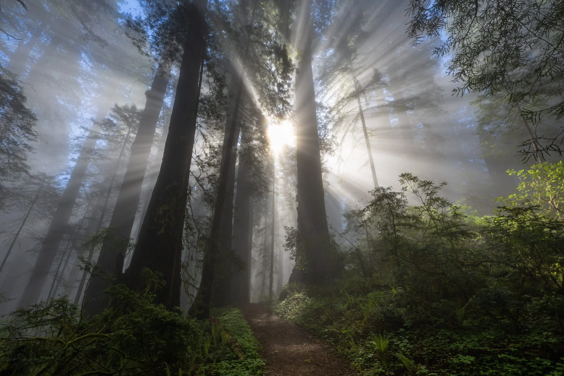 Oregon Coast Photography Workshop 2026 — DESTINATION EARTH