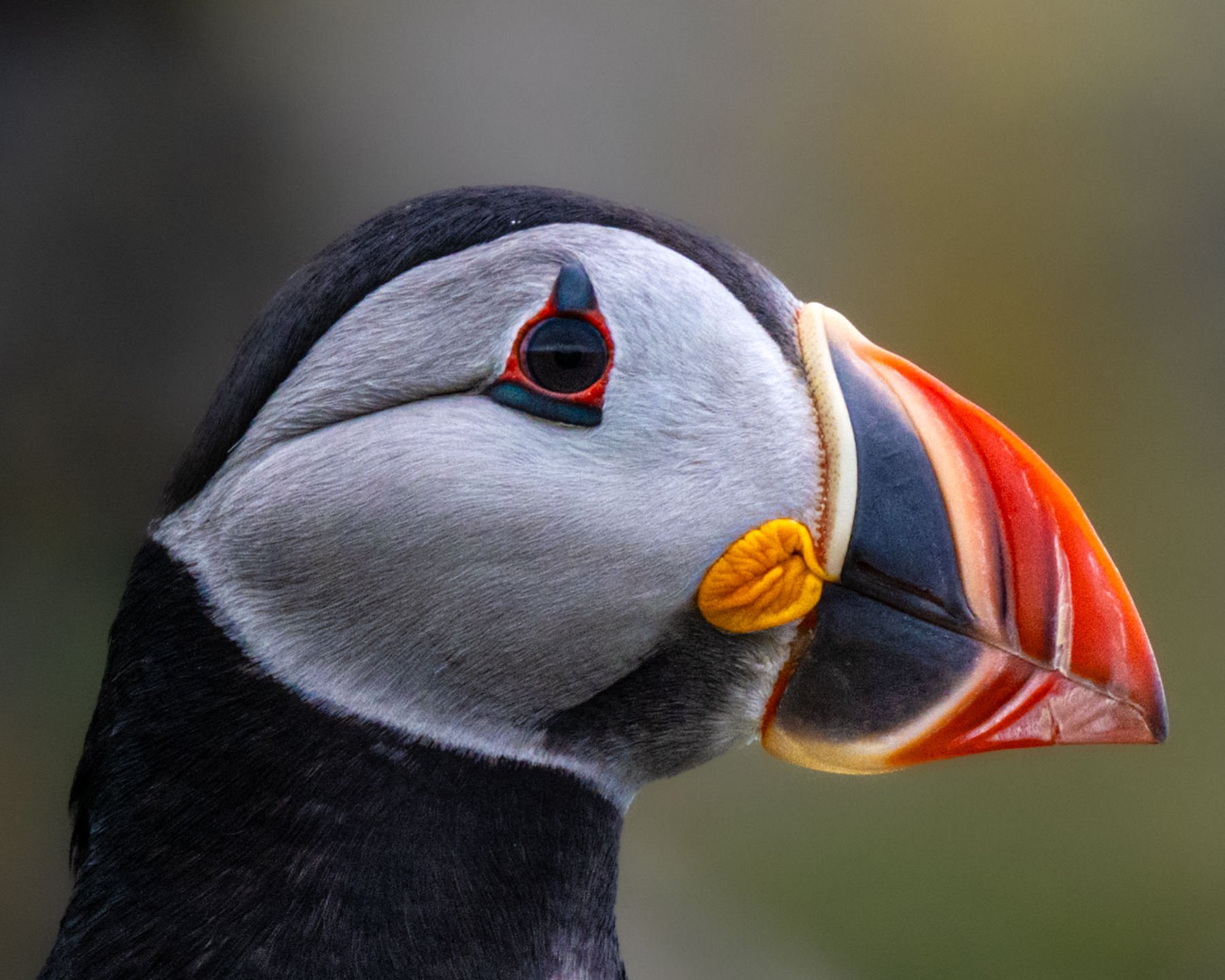 2024 Iceland Midnight Sun Photography Workshop — DESTINATION EARTH