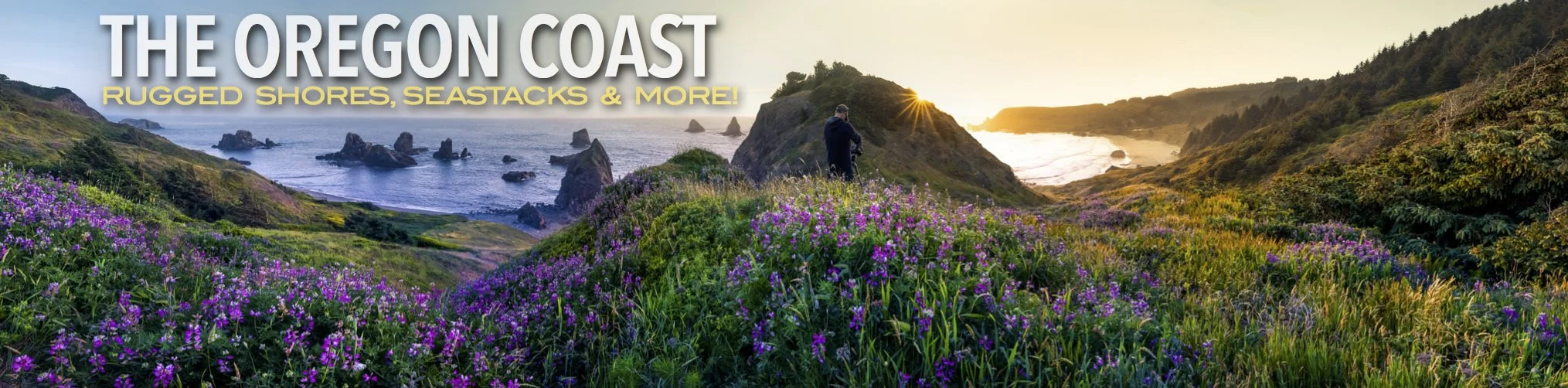 Oregon Coast Photography Workshop 2026 — DESTINATION EARTH