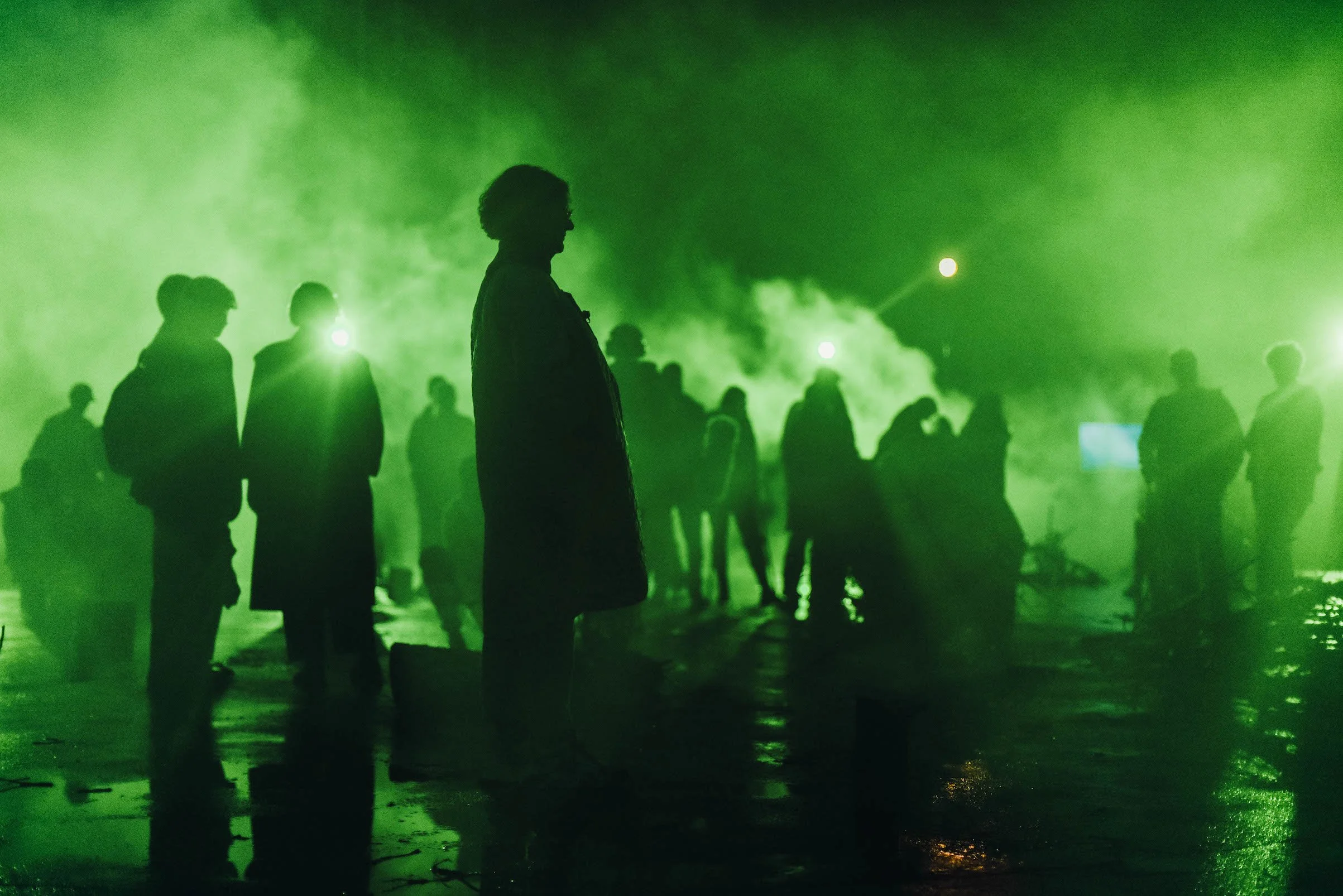 ANALYSING THE BEAST (2019) — THIS IS PAULIUS