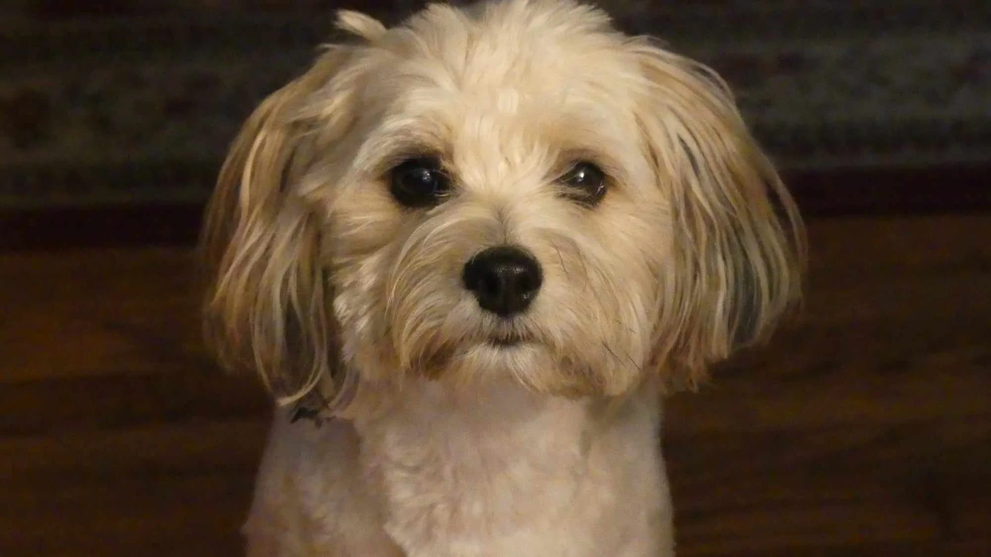 Lisa Stenger, Christian Speaker, Blogger and Writer