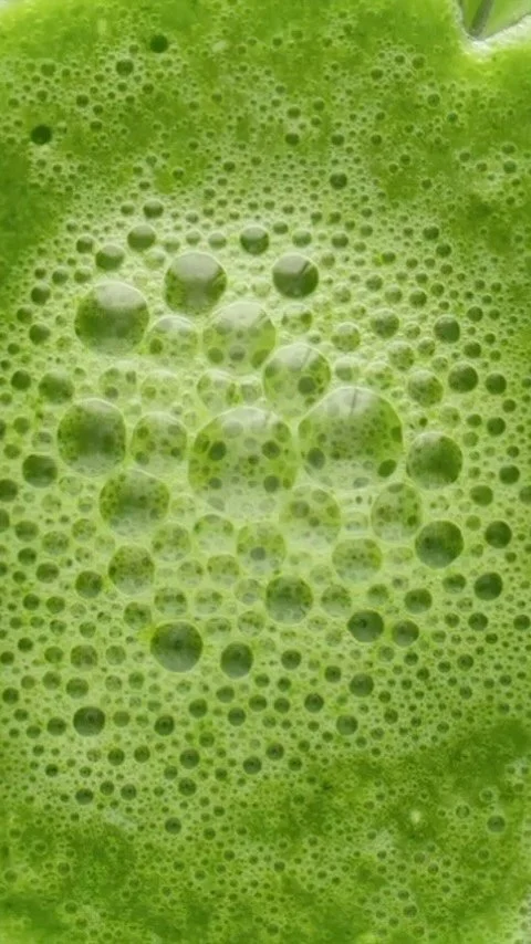 One App — Juice Master
