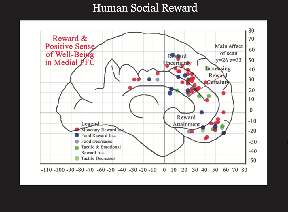 Social Reward Overview — Nature-Nurture