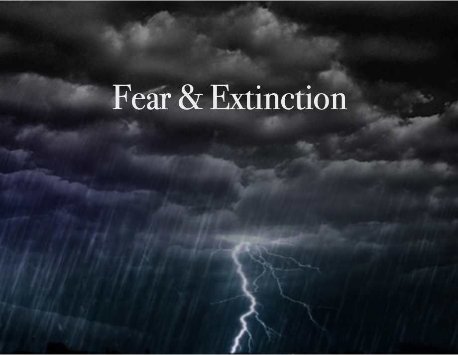 Fear & Its Extinction — Nature-Nurture
