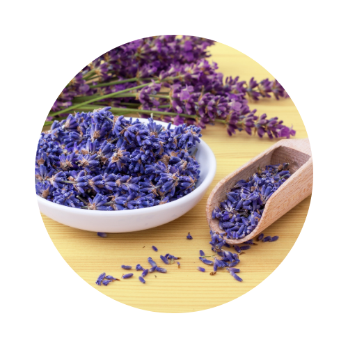 Lavender Magic for Peace, Cleansing, and Love Spells — Divinely Designed