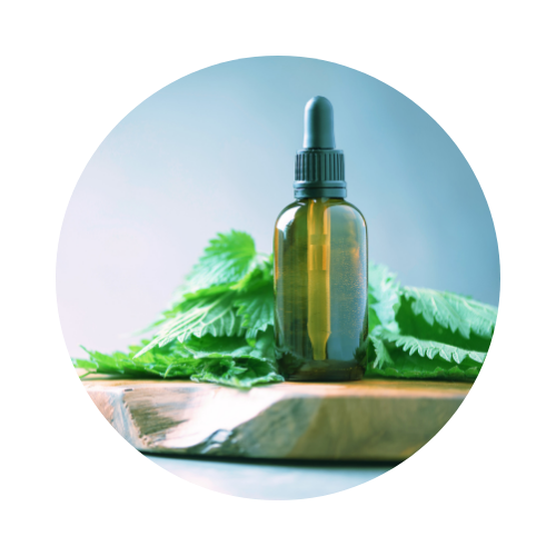 Nettle Magic for Protection, Strength, and Energetic Healing — Divinely ...
