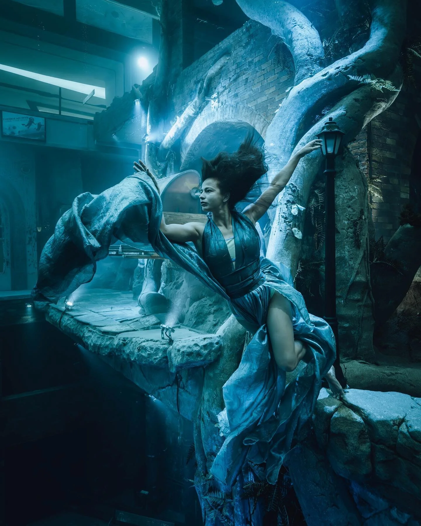 Michael Rall | Underwater Camera Operator | Underwater Photographer