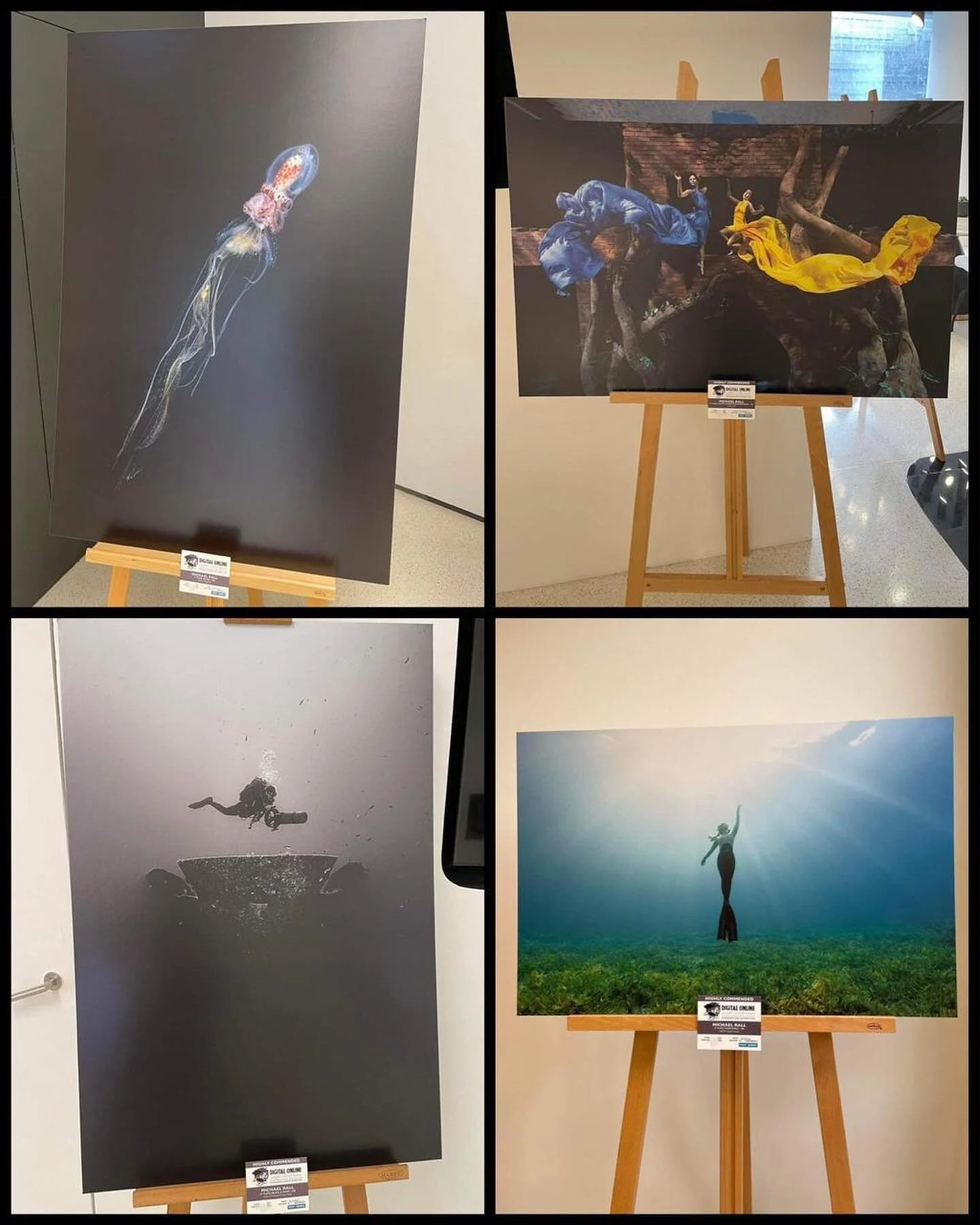 Michael Rall | Underwater Camera Operator | Underwater Photographer