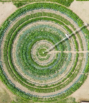 Circlefarming | Ontdek en doe mee