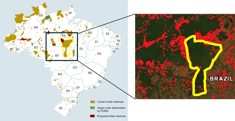 The Amazon is on fire — here is why — Amazon Research