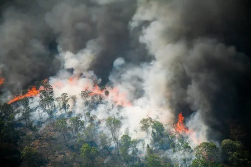 The Amazon is on fire — here is why — Amazon Research